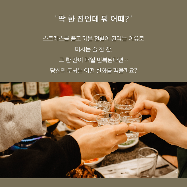 이정도는 괜찮아 매일 술 한 잔이 미치는 무서운 영향력 뇌생각