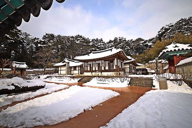 여기가 진짜 숨은 명소 사람 없이 여유롭게 즐기는 설경 명소 여행을말하다