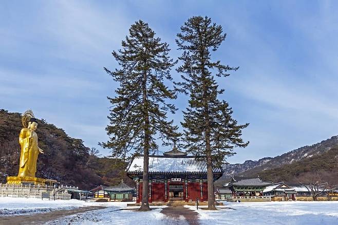 이런 곳이 있었다니” 겨울 감성 물씬한 이색 명소 추천 여행탐구