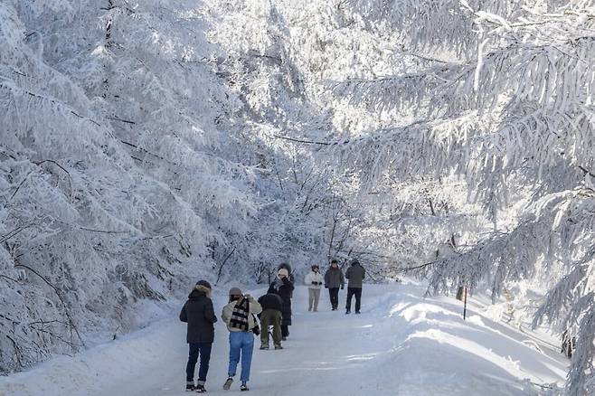 해외 부럽지 않다” 겨울이면 꼭 가야 할 설경 맛집 2곳 여행탐구