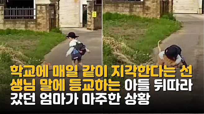 눈 밟으면 나는 뽀드득 뽀드득 소리가 너무 좋은지 두 눈 찡긋한 아기 여우 애니멀 플래닛