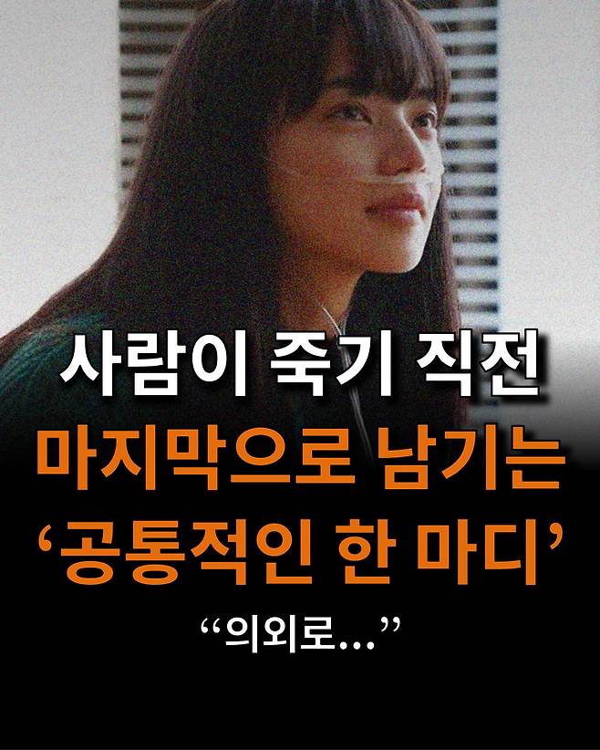 사람이 죽기 직전 마지막으로 남기는 공통적인 한 마디 꿀벌책방