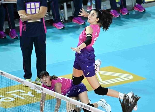 전반기 1위 흥국생명 투트쿠 대체자 찾았다