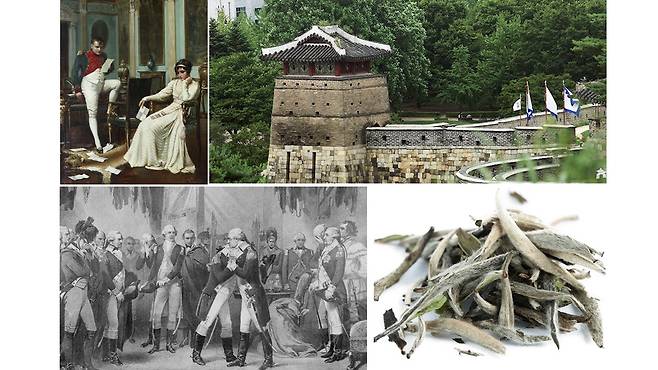 1796년 그 때 인류 역사에 등장한 두 가지”