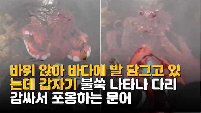 죽음 앞둔 강아지와 마지막 작별 인사하는 도중 오열하는 남자의 눈물 애니멀 플래닛