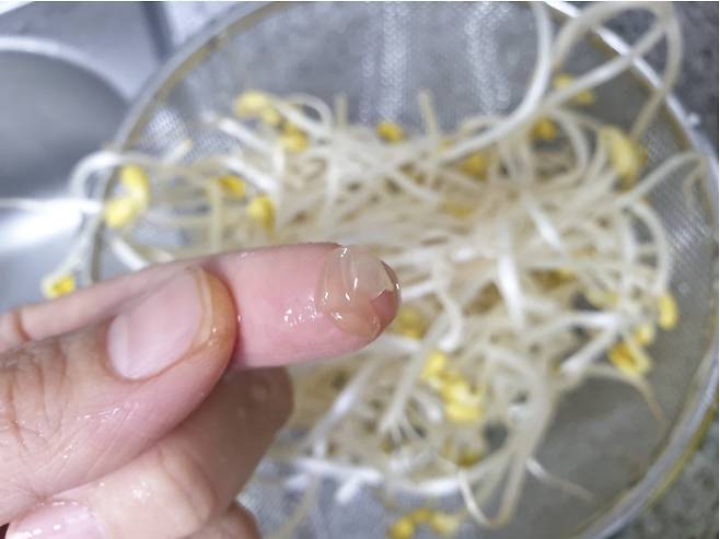 콩나물 데칠 때 아직도 소금 넣으세요 이것 넣으면 아삭함이 미쳤어요~ 오늘살림루틴
