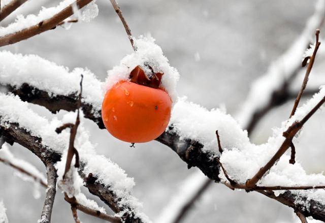 왕태석의 빛으로 쓴 편지 서설瑞雪이 만든 새로운 세상