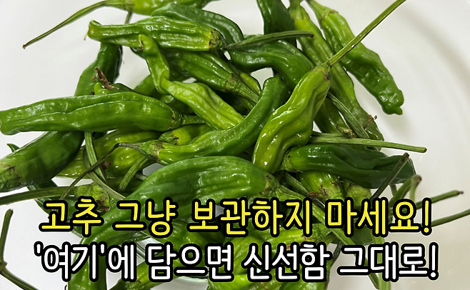 빵클립을 여기에 붙였더니 깜짝 놀랄 효과가 나타납니다 꿀하우스