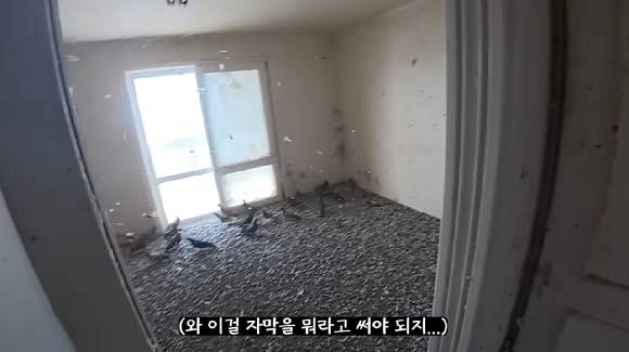 소름 돋는다⋯2년간 비둘기가 살았던 아파트 깃털·배설물로 뒤범벅
