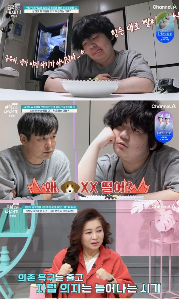 母에 폭언·폭행 하던 금쪽이 칭찬 받고 싶어 꼭 변화 할 것 역대급 발전 금쪽같은 내 새끼 종합