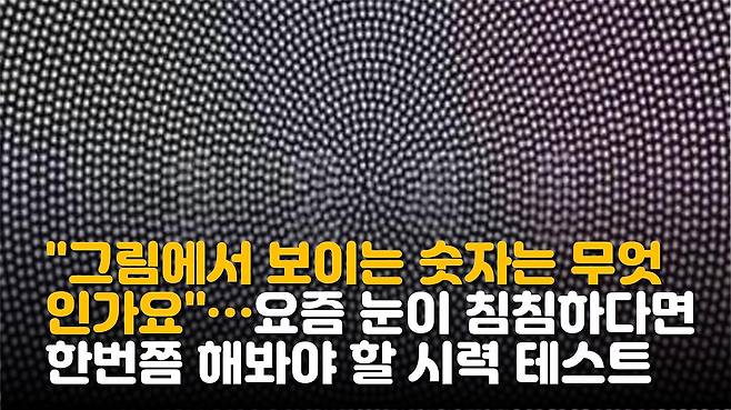 어엄마엄마인줄 알고 등에 올라탄 병아리들 보고 당황한 고양이 애니멀 플래닛