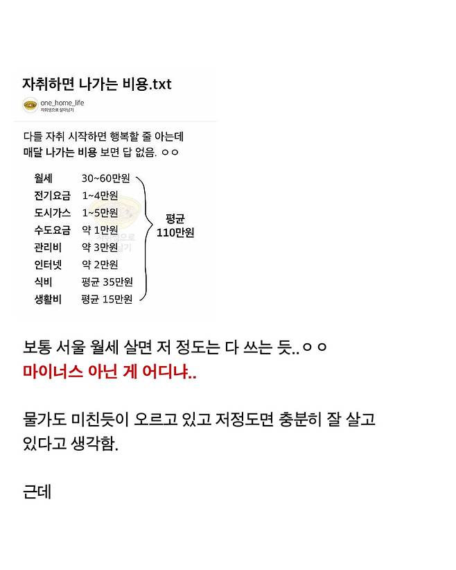 300 버는 여자 소비내역 과소비 지식한스푼