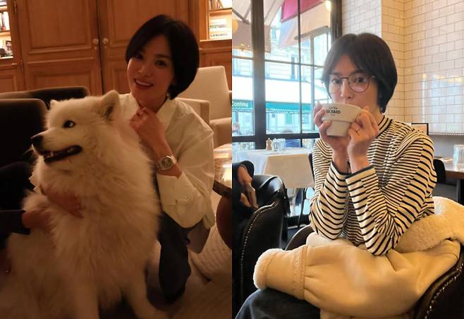 송혜교 숏컷에 동글안경러블리 파리 일상