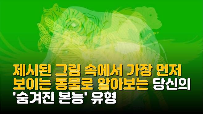 버려진 축구공 있길래 발로 뻥~ 차려고 다가갔다가 깜짝 놀란 이유 애니멀 플래닛