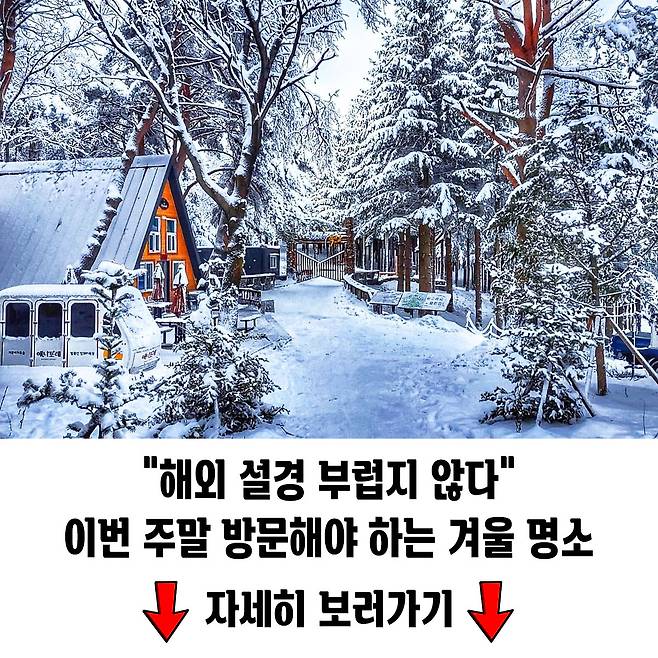 추워질수록 몰린다 추운 날씨도 잊게 만드는 겨울 축제 여행을말하다