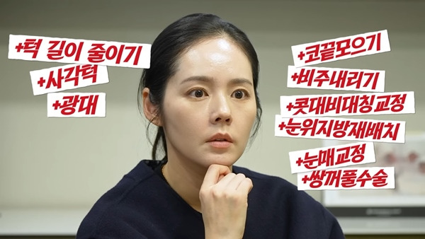 국보급 미녀도 성형 고민 한가인 성형 견적 차 한 대 값