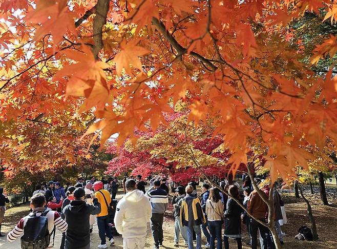 국내 대표 관광명소 입증강원도 한국관광 100선 전국 최다 선정