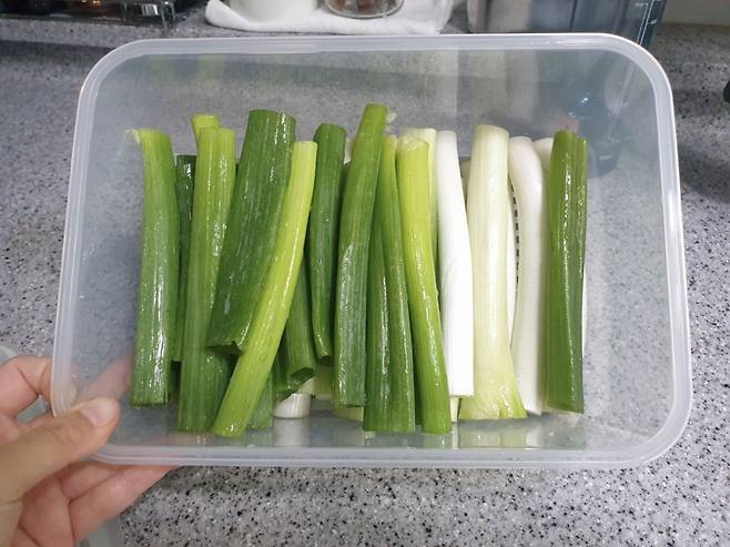대파 얼리지 마세요~ 이것 넣으면 한 달 내내 싱싱해요 오늘살림루틴