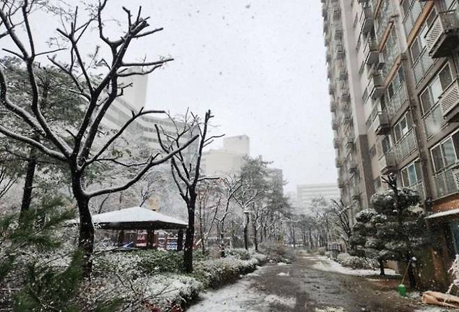 우리 아파트 안전하게 고쳐볼까송파구 수목전지 등 도와