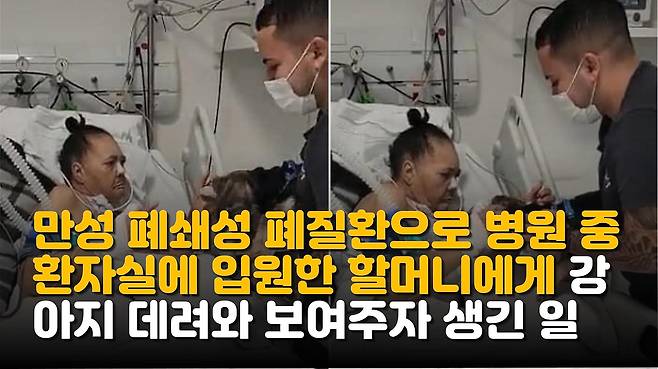 동생만 예뻐서 안아줬더니 언니 고양이가 질투하나봐요 애니멀 플래닛
