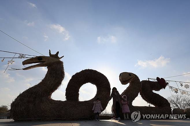 샷 구멍에 든 뱀이란