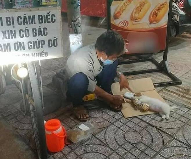 길에서 복권 팔며 생활하는 할아버지 일이 끝나기만 기다리는 아기 강아지 애니멀 플래닛