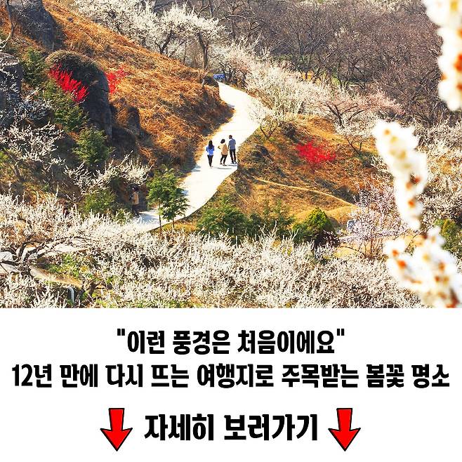 바다·호수·강이 어우러진 3대 명소 걷기 좋은 길 3곳 여행을말하다