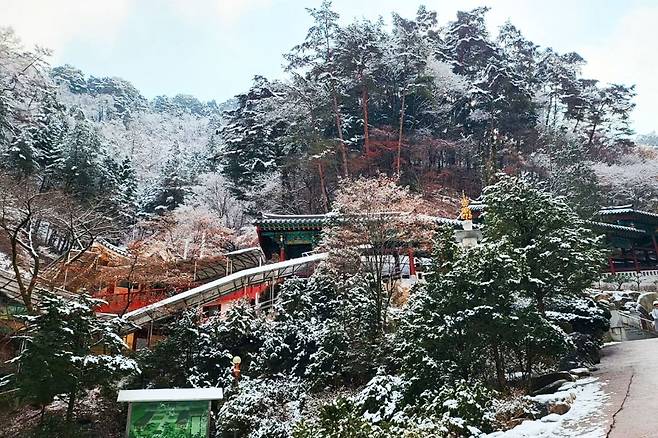 입장료 없이도 충분하다 아름다운 무료 설경 명소 추천 2곳 여행을말하다