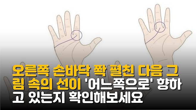 댕댕이가 경비 아저씨 보고 힘내라며 하이파이브 해줬어요 애니멀 플래닛