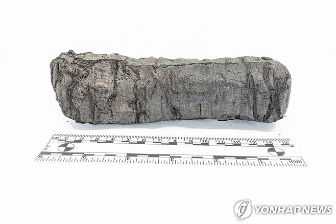 Ai가 해독한 2천년전 로마 두루마리엔역겹다 희랍문자 적혀