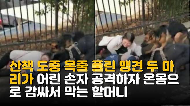 상자 속에서 액체 흘러 넘치는 것 마냥 줄줄 세고 있는 고양이의 수면 자세 애니멀 플래닛