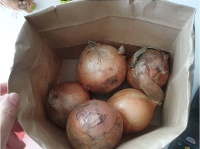 양파 냉장보관하지 마세요~ 여기에 올려만 두면 끝 오늘살림루틴