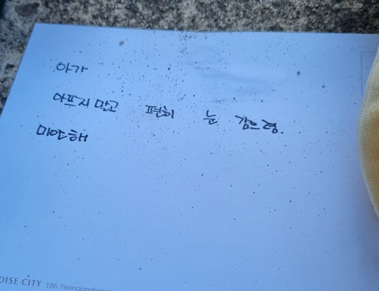 장예찬 초등생 살해 교사 사건에 사형제 부활시키자
