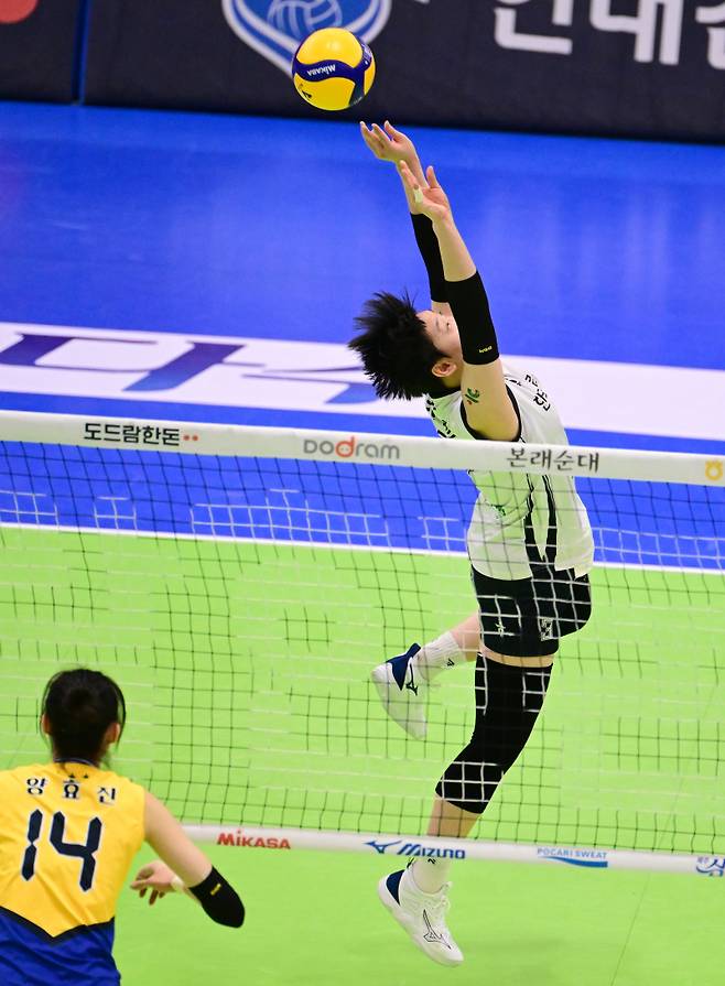 영플레이어상 예약한 신인 세터도로공사의 축복 김다은