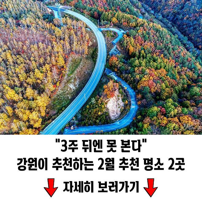 단 2주 남았다 마지막 기회인 설경 명소 여행을말하다