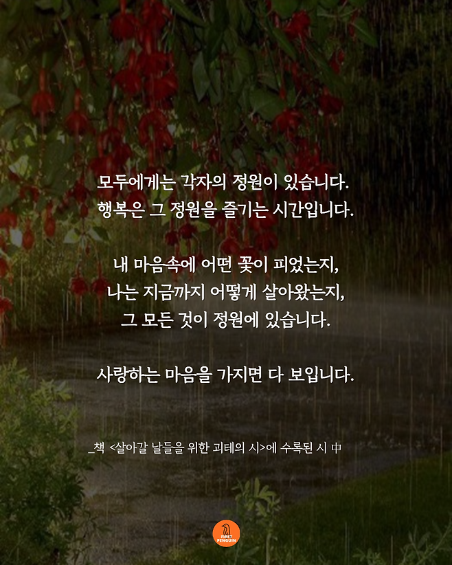 40대 이 배우가 20년 무명을 버티며 깨달은 진리 사소한 게 진짜 행복한 거예요” 퍼스트펭귄