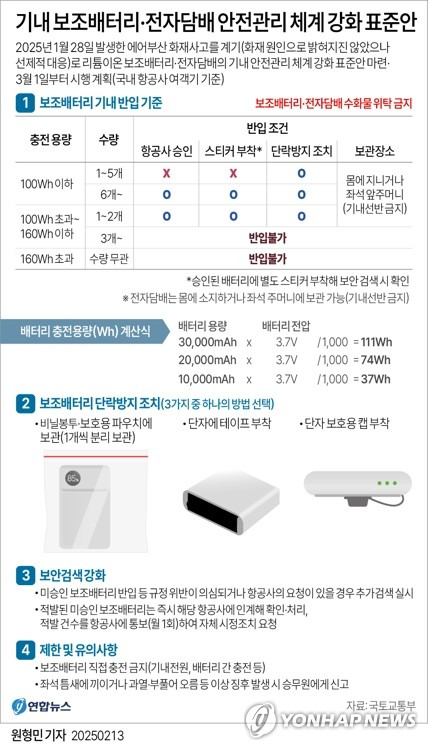 그래픽 기내 보조배터리·전자담배 안전관리 체계 강화 표준안종합