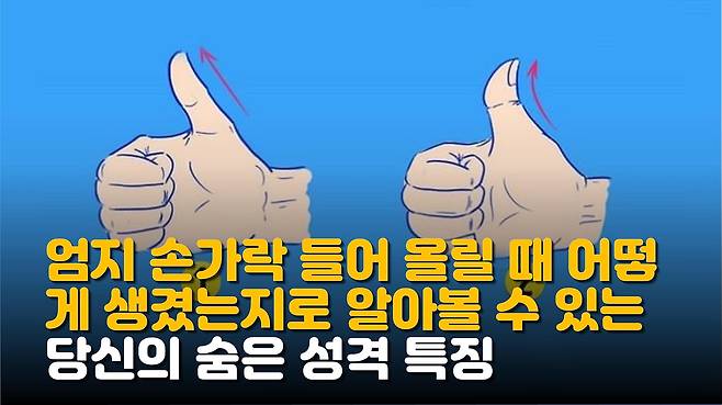 누군가 길바닥에 인형 떨어뜨린 줄 알았는데 알고보니 토끼였어요 애니멀 플래닛