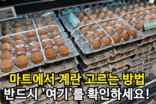김 용기 그냥 버리지 마세요 김 용기에 이것 담았더니 믿기 힘든 결과 텐꿀팁