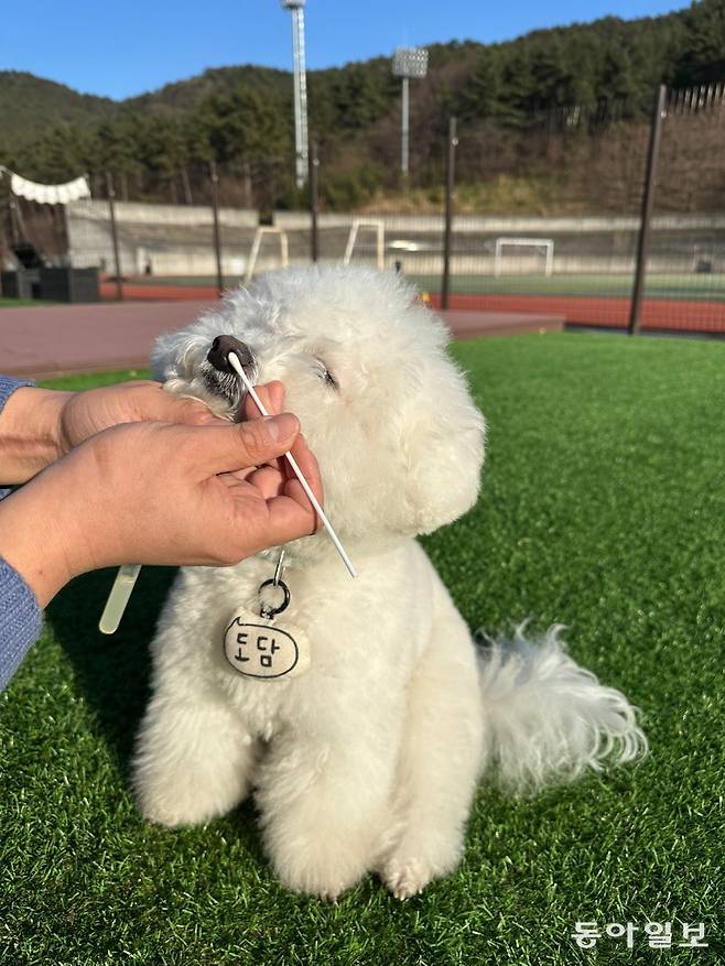 내 옆의 반려견이 내성균 감염 매개체” 역학 조사 활발