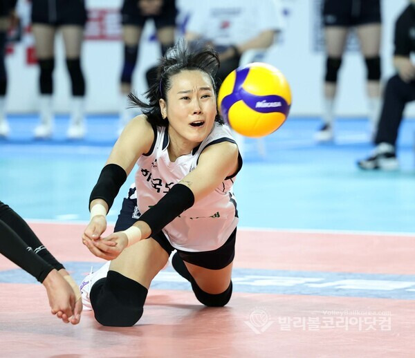 삼각편대 61점 합작 또 날았다 거미손 김세빈 블로킹 7개 까지 한국도로공사 승리 여자부 5위 유지