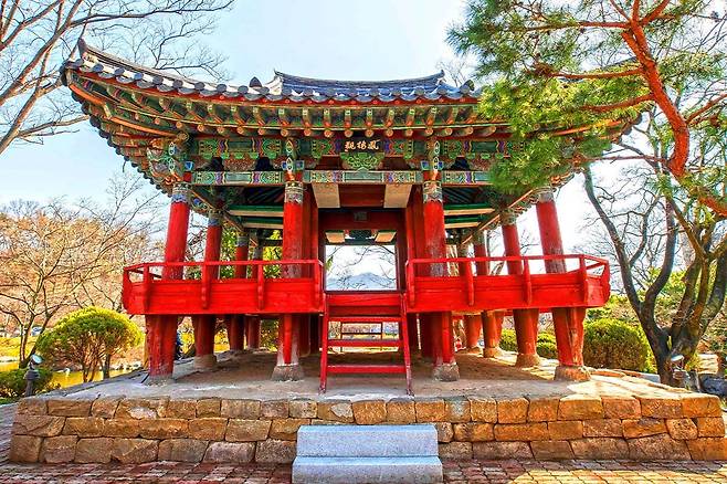 꽃길 걷고 싶다면 여기로 한 달 뒤 절정 맞이할 숨은 명소 여행을말하다