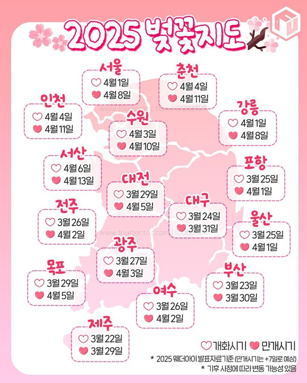 2025 벚꽃 개화 및 만개 시기 총정리축제 명소 포함 여행톡톡