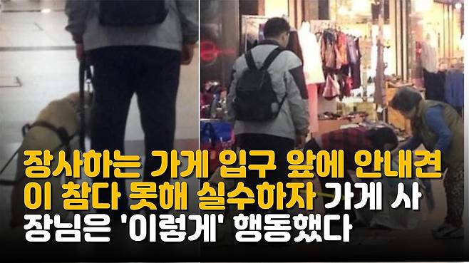 자기 밥그릇 아닌 다른 형제 밥 뺏어먹는 새끼 고양이들 위해 집사가 내린 조치 애니멀 플래닛