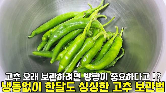 소금에 이쑤시개를 꽂아 두세요 놀라운 결과에 깜짝 놀라는 이쑤시개 활용법 3가지 쏙쏙팁