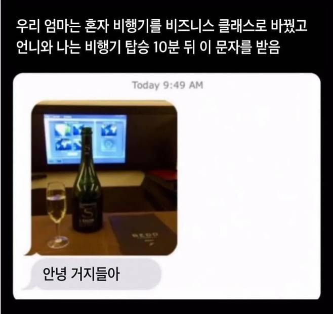 엄마 혼자 비행기 좌석 바꾸고 보낸 문자메시지 해피니스