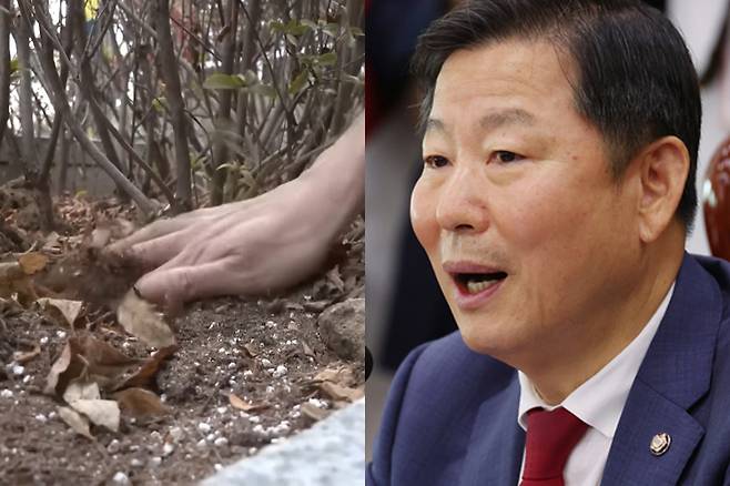 Cctv 보니 이철규 며느리까지장제원 내 맘 뭐가 돼” 성폭행 의혹 금주의 사건사고