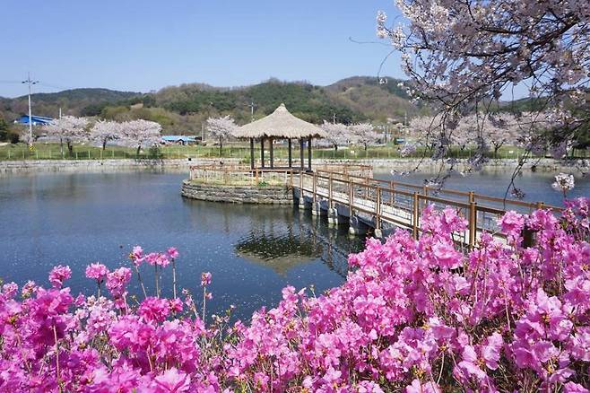 이곳에서만 가능한 특별한 봄 600년 성벽 아래서 펼쳐지는 예술 축제 여행을말하다