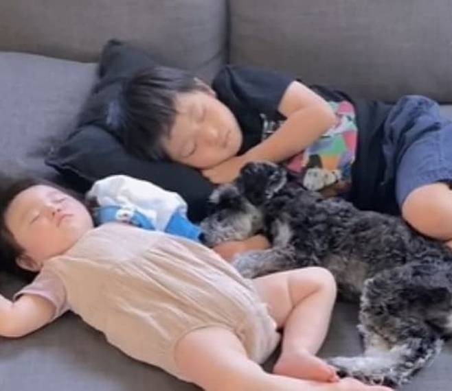 뛰어놀 시간인데 소파에 나란히 누워 잠든 아이들 모습 보고 당황한 강아지 애니멀 플래닛