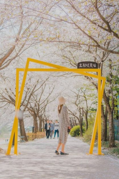 서울 근교 벚꽃축제 어디 의정부 중랑천 따라 걷는 봄꽃 산책 여행다이어리